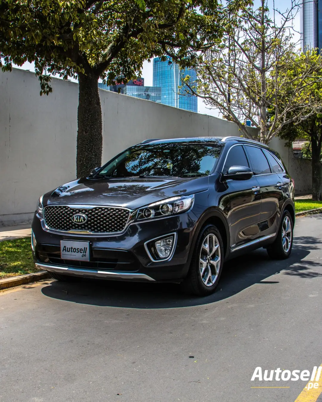 Autu - Kia Sorento 2017